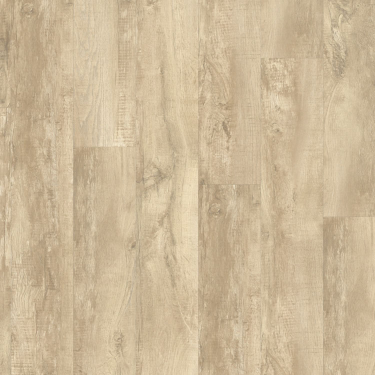 Moduleo Roots 55 EIR Hout | LaminaatenParket
